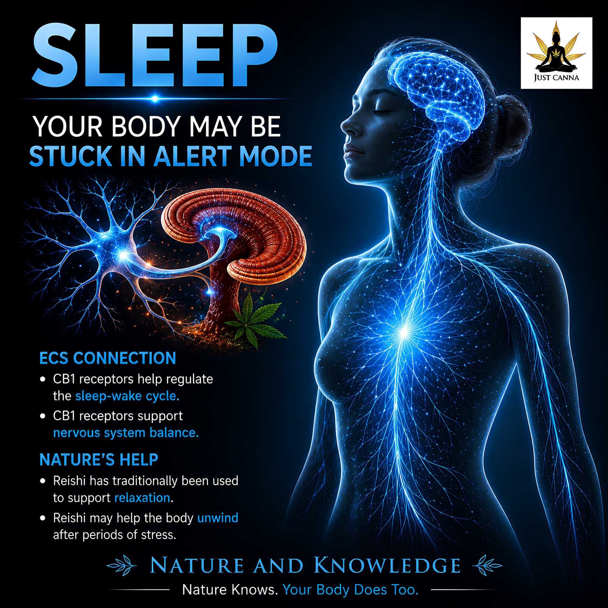 SLEEP - Understanding Why Your Body May Be Stuck In Alert Mode – Just Canna